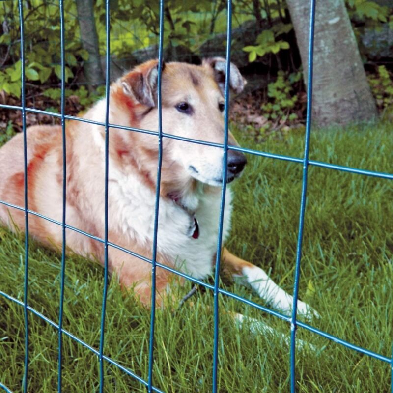 Welded Wire Mesh Dog Kennels Ideal for Secure Pet Enclosures