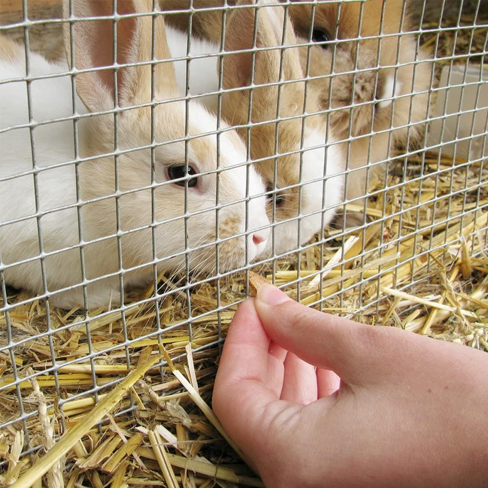 Chicken Wire Fence for Rabbits Ideal for Hutches and Runs